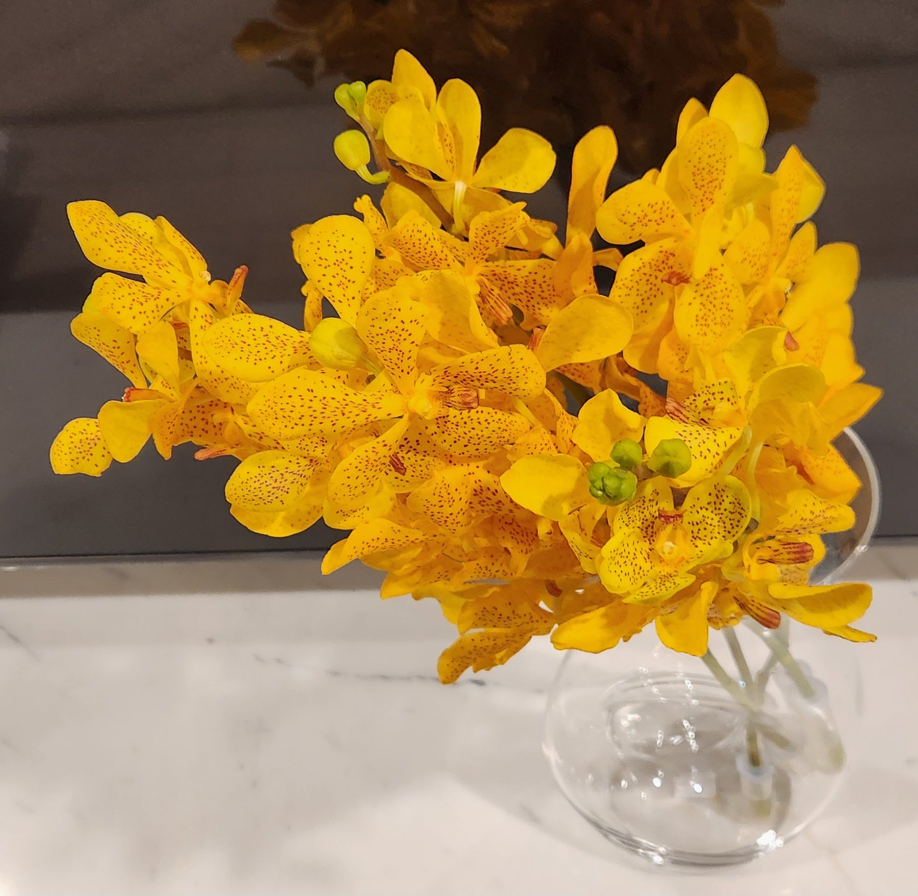 I Hate Roses – Gardenia Boutique NYC